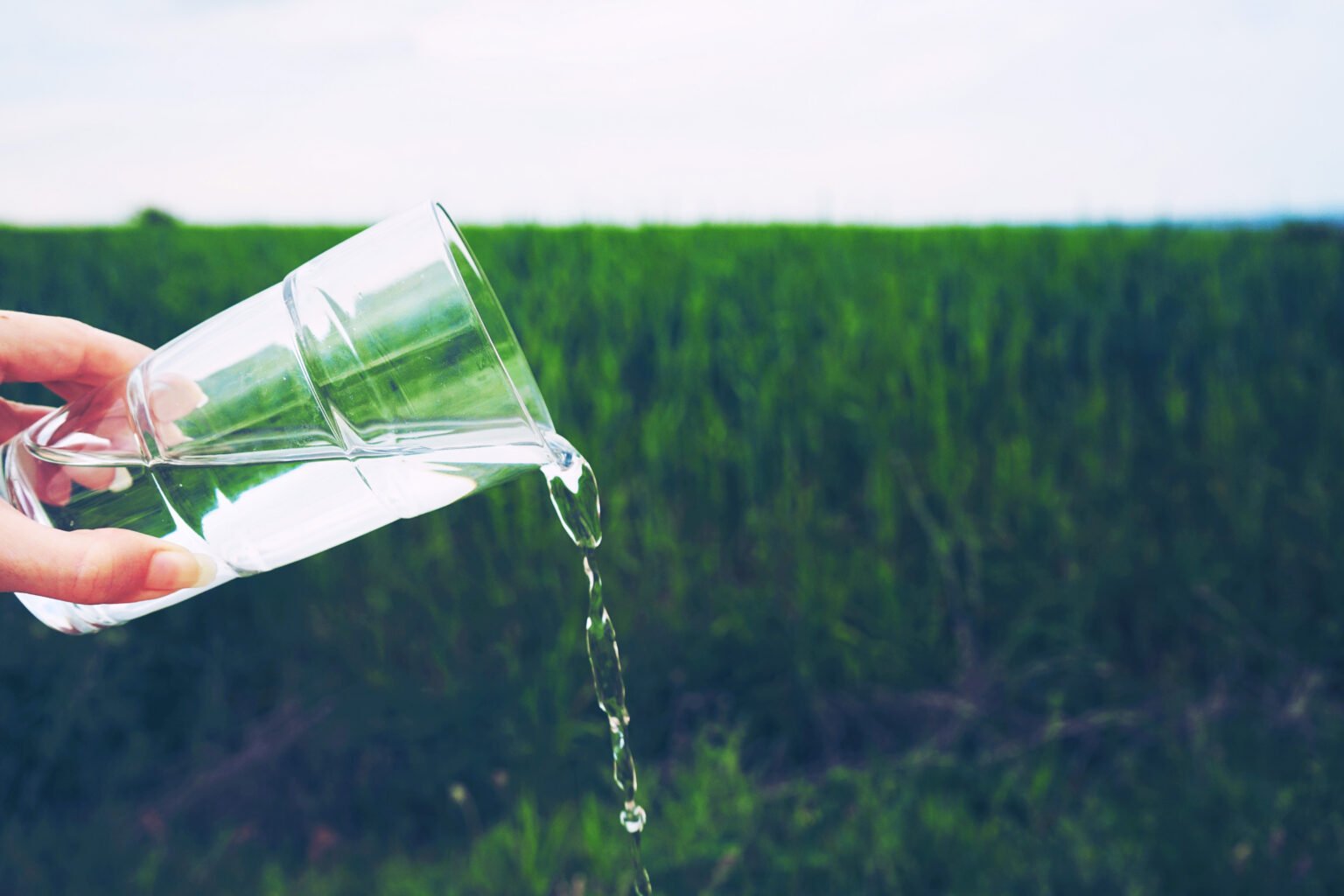 The Importance of Water Management in Sustainable Agriculture ...