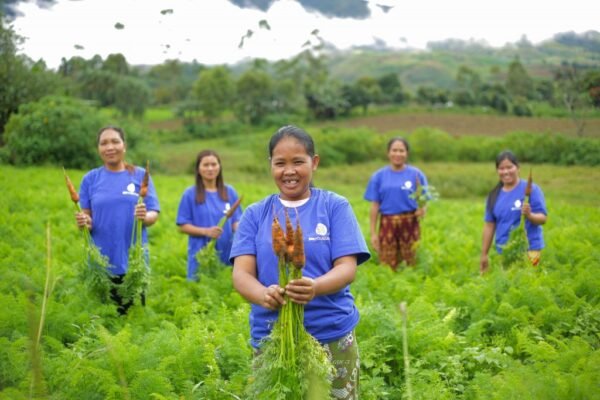 Vocational Training Programs in Modern Agriculture - Al kamal Fertilizers