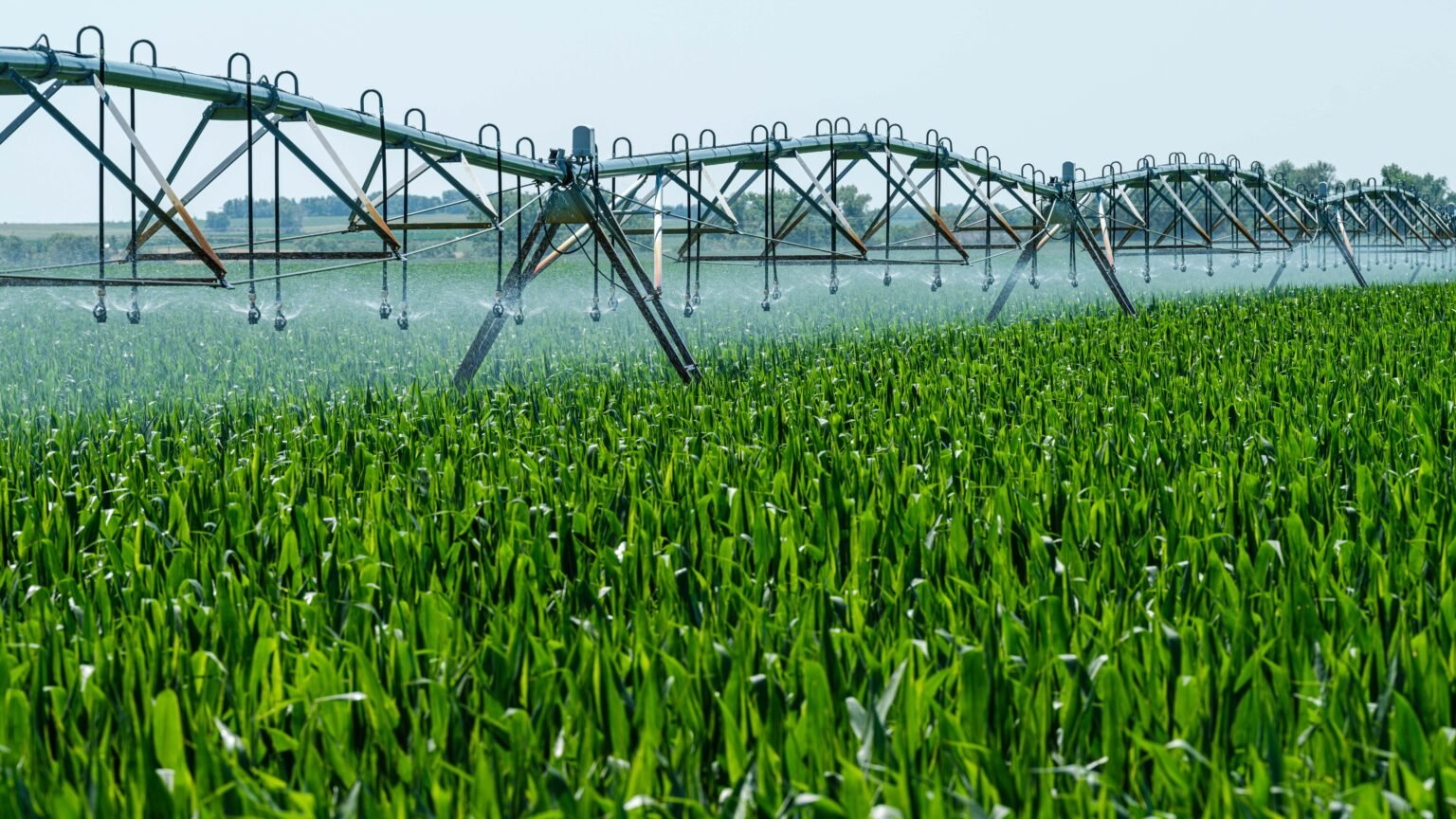 How to Reduce Water Consumption in Farming | 8 Proven Strategies for ...