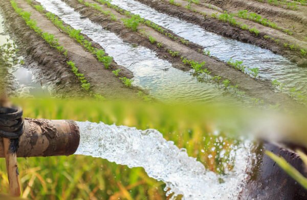How to Reduce Water Consumption in Farming | 8 Proven Strategies for ...