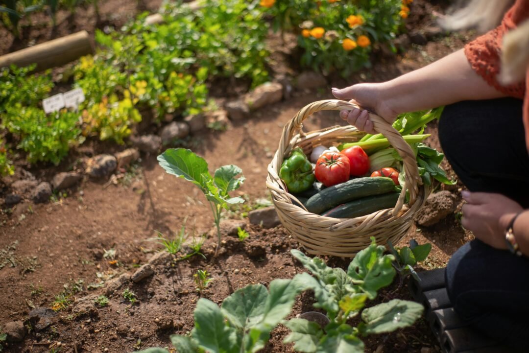 Local Communities in Sustainable Farming: Driving Collaboration and ...